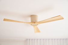 Fanco Gaia Ceiling Fan | Quiet Ceiling Fan — TEDS Lights, Fans & Home ...