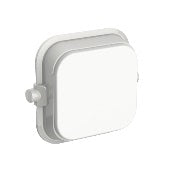 Clipsal Iconic Blank Rocker | Rockers Switches | Iconic Skins ...