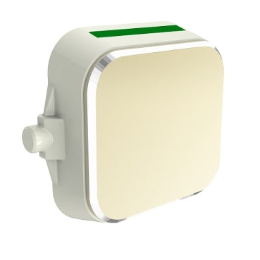 Clipsal Iconic Styl Rocker | Styl Swithces | Iconic Skins | Crowne ...