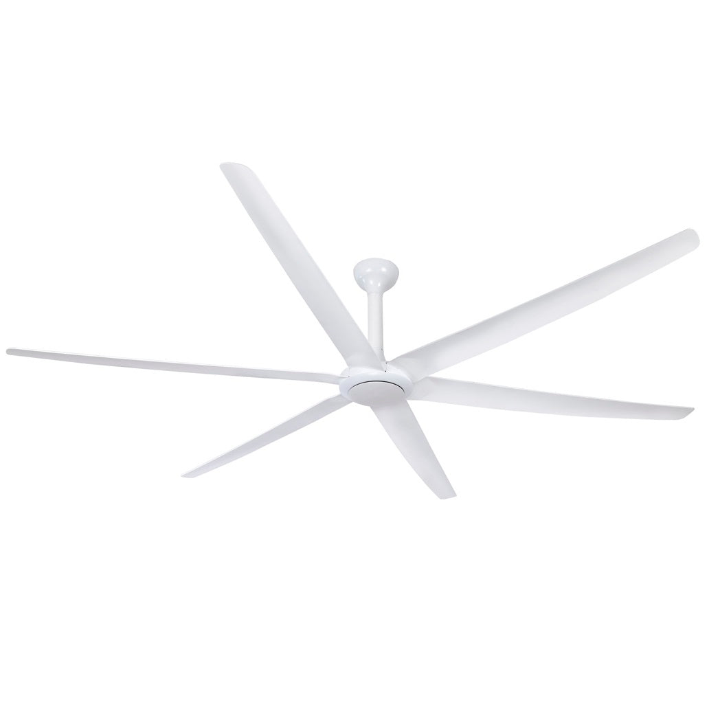Hunter Pacific Ceiling Fans | Best Price on Hunter Pacific Fans — TEDS ...